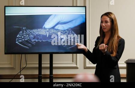 Christina Froehlich, GBI special agent, testifies about the well ...