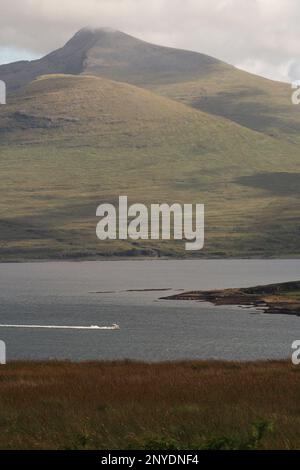 Blick über Loch Na Keal auf die umliegenden Berge mit Schilf, Pflanzen ...