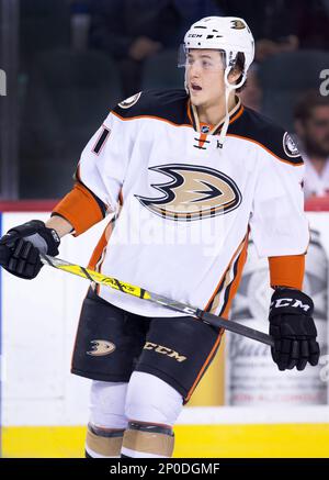 NHL profile photo on Anaheim Ducks' Brandon Montour at a game against ...