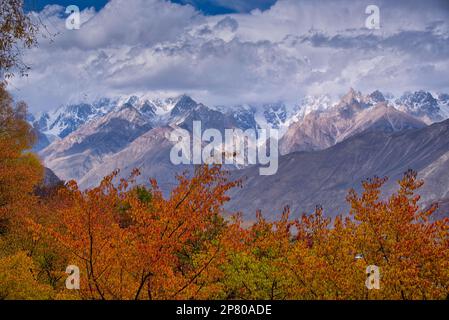 Hoper Valley befindet sich im Bezirk Nagar Valley im Bezirk Hunza Nagar ...