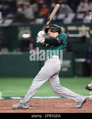 Australia's Tim Kennelly homers on a fly ball to left center field in ...