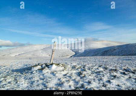 Blick nach Osten in Richtung Ben Cleuch von Craighorn in den Ochil ...
