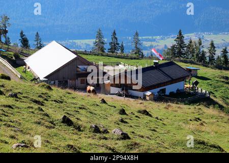 Blick von oben auf die Tuftlalm (1496m) mit Alpenweide, Kapelle, Kühe ...