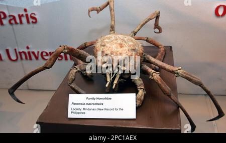 Dr. Philippe Bouchet, of the French National Museum of Natural History ...