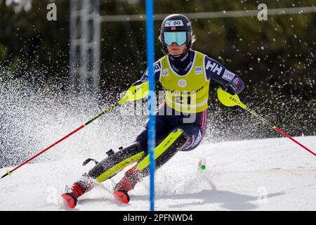 Norway's Mina Fuerst Holtmann competes in an alpine ski, women's World ...