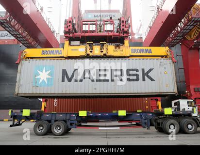 QINGDAO, CHINA - 23. MÄRZ 2023 - das Containerschiff MSC IRINA lädt ...
