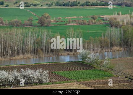 In den Hevsel-Gärten von Diyarbak ® r's World Cultural Heritage liegt ein Schmetterling auf ...