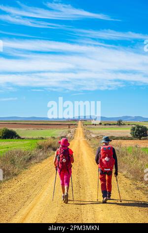 Spanien, Kastilien und León, Faramontanos de Tabara, Dorf auf der Via ...