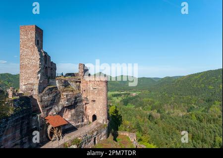 Schloss Burg Altdahn, Grafendahn und Tanstein Schloss, Schloss Gruppe ...