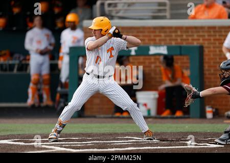 Tennessee Volunteers left fielder Jared Dickey (17) at bat during an ...