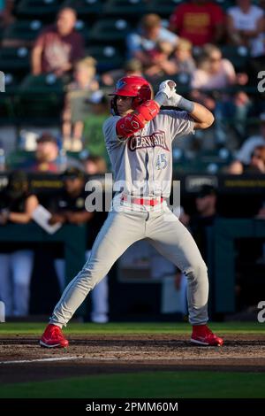 Clearwater Threshers Gabriel Rincones Jr. (45) bats during a MiLB ...