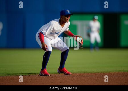 Dunedin Blue Jays shortstop Manuel Beltre (7) during warmups before an ...