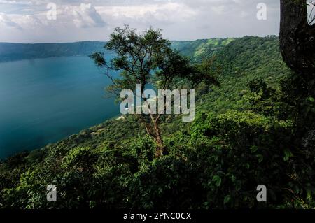 Ausflug nach Cerro Verde und zum Vulkansee Lago de Coatepeque. El ...