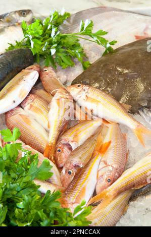 Der Fischmarkt Pescheria Clelia, auf dem Foto der Fang des Tages, Via ...
