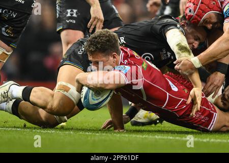 Kieran Hardy of Scarlets spielt beim United Rugby Championship-Spiel ...