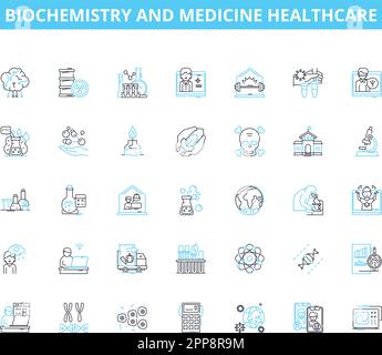 Biochemie und Medizin Gesundheitswesen Lineare Icons Set. Enzyme ...