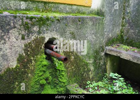 Banja Koviljaca, Loznica, Serbien. Berg Guchevo, Park und Wald. Quelle ...