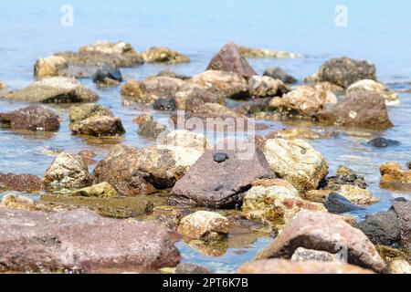 Blick vom Boden aus auf den Meeresstrand aus Kieselsteinen mit weitem ...