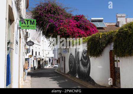 Blühende dreifache Blumen (Bougainvillea) in der Altstadt von Lagos ...