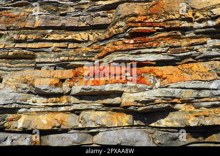 Flysch ist eine Reihe von Sedimentgesteinen aus dem Meer, die ...