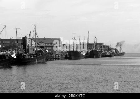 Fischkutter im Fischereihafen Cuxhaven, die alte Netzhalle im ...