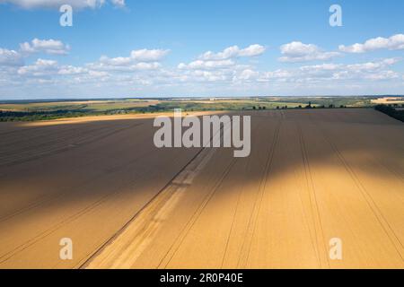 Eine Luftaufnahme von goldenen Weizenfeldern in den sanften Hügeln der ...