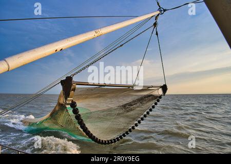 Krabbenfischer, Krabbenkutter, Schleppnetz, Schleppnetz, Schleppnetz ...