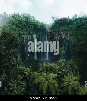 Luftaufnahme Wasserfall Chupan sewu in Java, Indonesien. Wasserfall in ...