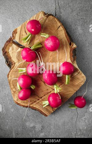 Sommer geernteten roten Rettich. Wachsende Bio Gemüse. Große Haufen ...