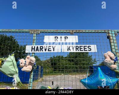 Blumengewähr hinterlassen Kyrees Sullivan und Harvey Evans auf der ...