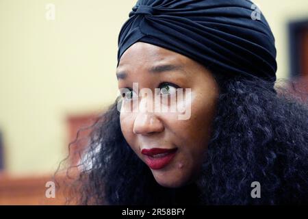 Jill Collen Jefferson, president of JULIAN, a civil rights and ...