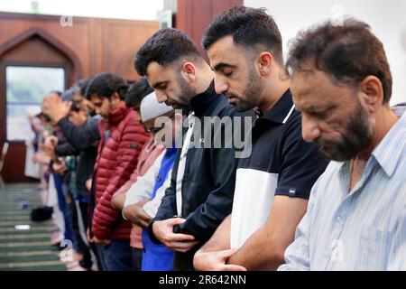 Brothers Samiullah Safi, center left, and Abdul Wasi Safi, center right ...