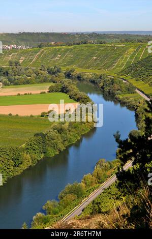 Blick vom Besigheim Felsgarten, Fluss: Neckar, Fluss: Neckar ...