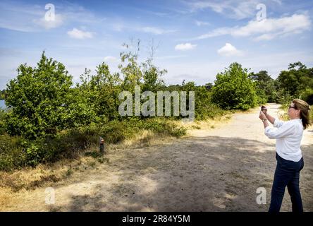 NUN - Christianne van der Wal-Zeggelink, Ministerin für Natur und ...