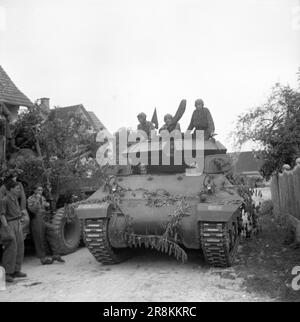 M10 Wolverine Tank Destroyer Stockfotografie - Alamy