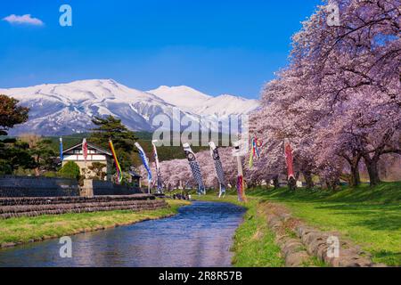 Der Chokaisan-Berg und die Kirschblüten in Nakayama tsutsumi ...
