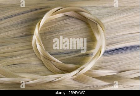 Blonde Haare, Geflecht, Tress Stockfotografie - Alamy