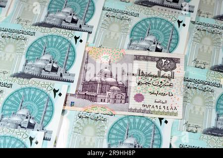 Der alte 20 LE VS neue ägyptische 20 EGP LE 20 Polymer Pfund Bargeld ...