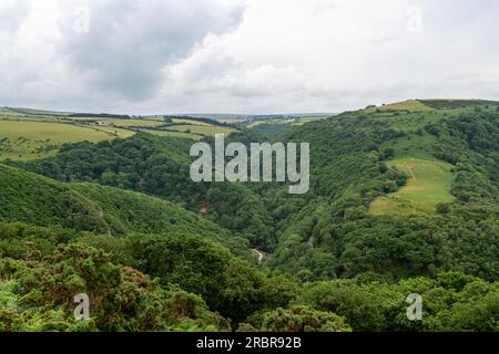 Blick vom Gipfel des Countisbury Hill of Watersmeet Valley im Exmoor ...