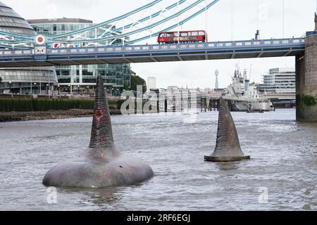 Schwimmende Modelle von Megalodon-Haifischflossen von der Tower Bridge ...