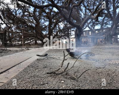 Lahaina, Maui, USA. 11. Aug. 2023. Die historische Stadt Lahaina ist ...