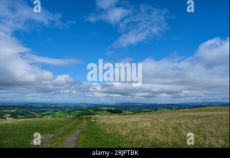 Blick hinunter in das Vale of Kerry und das Severn Valley vom Kerry ...