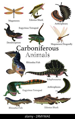 Eine Sammlung verschiedener Tiere und Fische, die in der Devon-Zeit der ...