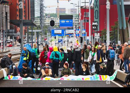 ROTTERDAM - mehrere Dutzend Aktivisten der Extinction Rebellion haben ...