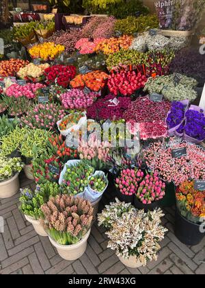 Verschiedene Arten von Blumen wachsen in roten Töpfen, die an Ketten ...