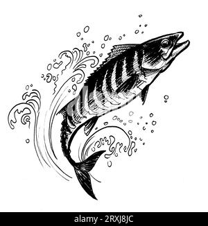 Springender Fisch. Tinte schwarz-weiß Zeichnung Stockfotografie - Alamy