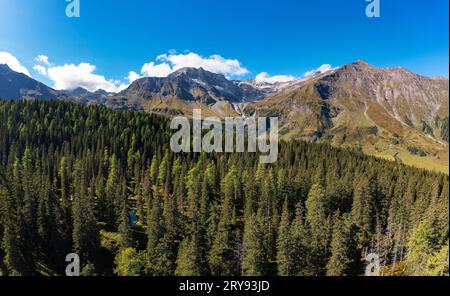 Blick über den Rauriser Urwald zum Hohen Sonnblick, Kolm Saigurn ...