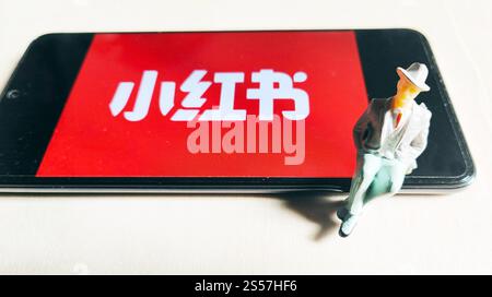 Ein kleines Red Book-LOGO wird am 14. Januar 2025 in Shanghai, China ...