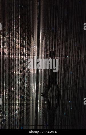 Teamlab Borderless Infinite Crystal World digitale Kunstwerke im Mori ...