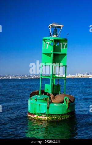 Eine blaue Boje sitzt auf einem Dock im Ozean. Das Wasser ist ruhig und ...